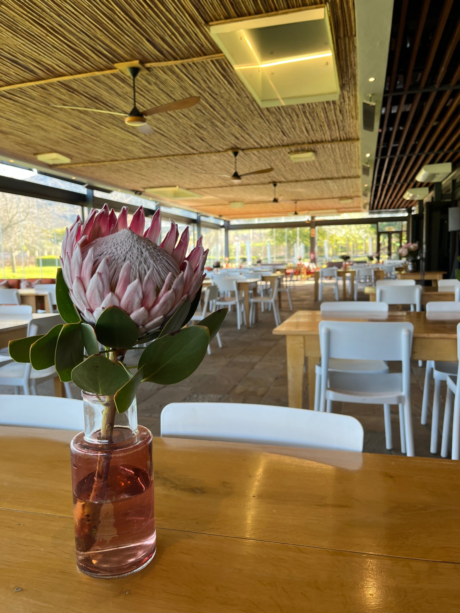 Celebrate South African Heritage at Leopard’s Leap SA Table – WINE ...